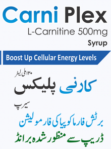 Ogmin Syrup (5x120ML Packs for One Month Dosages/Course Appx.)